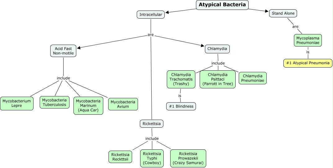 Atypical Bacteria